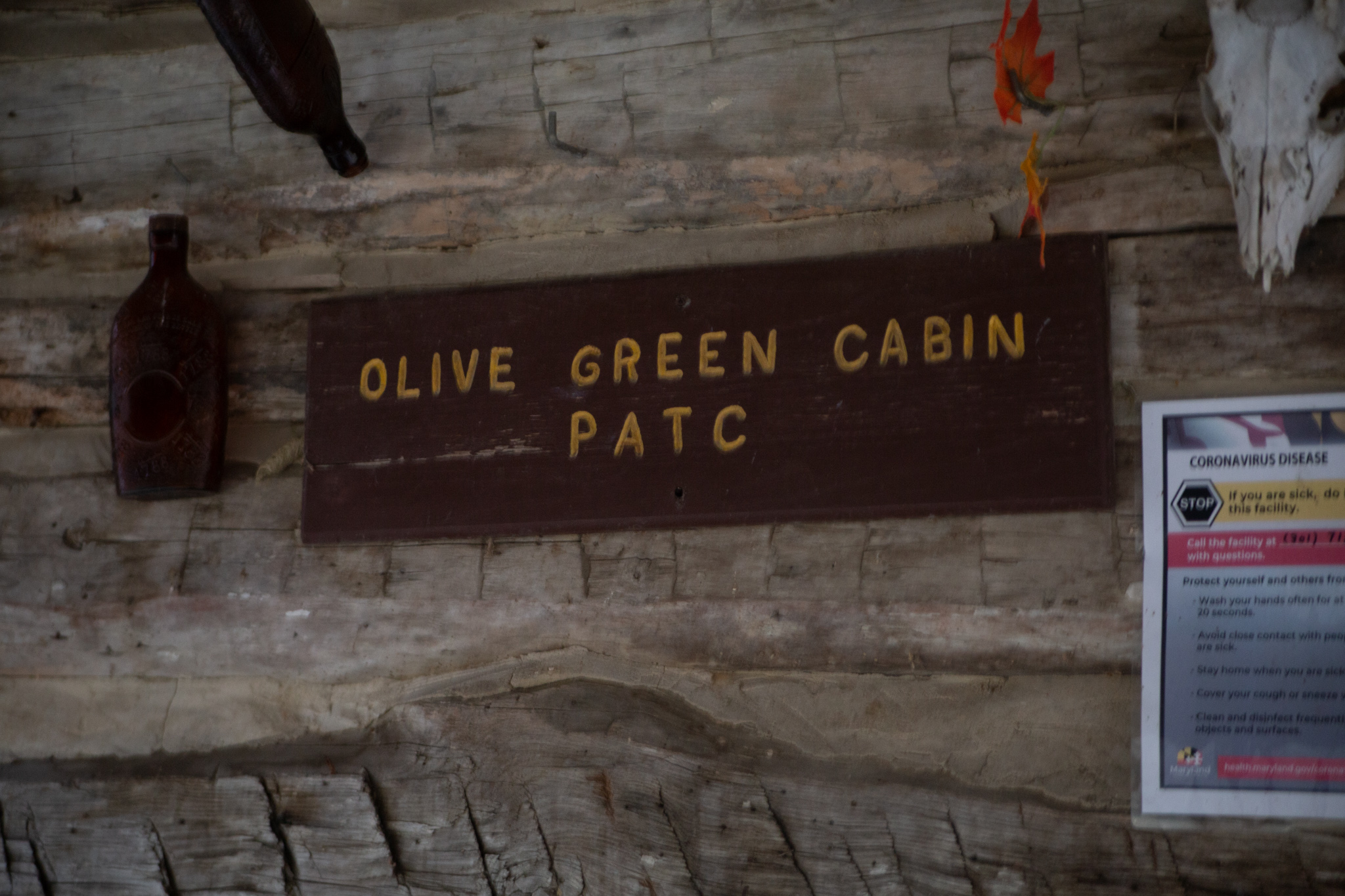 Olive Green Cabin (PATC) – Adventure Girl and Spawn